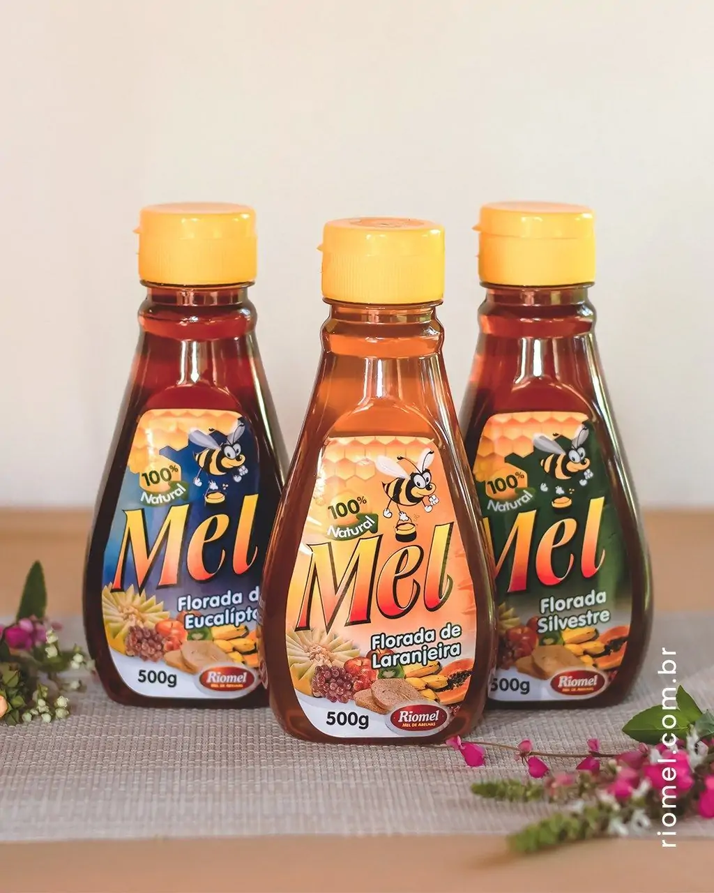 Arquivos Produto natural - Riomel | Mel de Abelhas, Derivados do Mel e ...